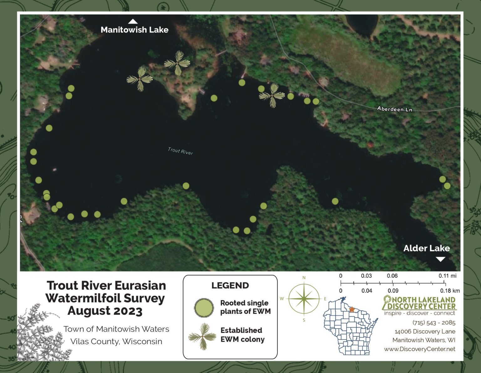 Eurasian Watermilfoil - Manitowish Waters Lakes Association